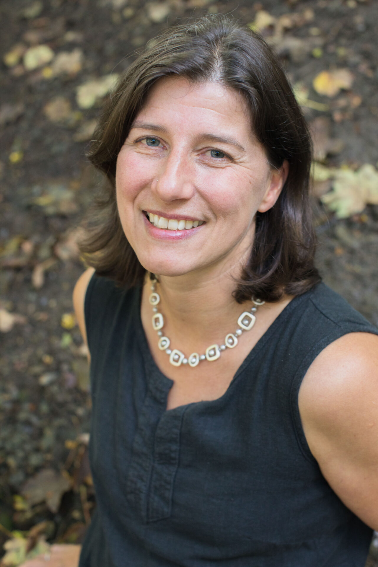 Reflect and Renew Winter Workshop | Find a Balanced Life Courses
